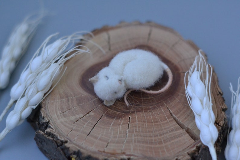 Needle Felted Sleeping Mouse MADE TO ORDER Cute Tiny Napping - Etsy