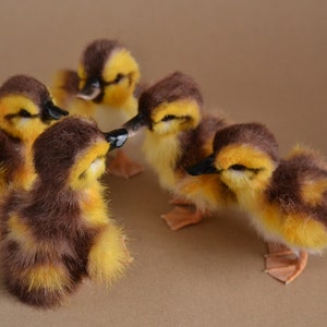 Plush Duckling MADE TO ORDER, Realistic Animals, Plushie Duck, Stuffed ...