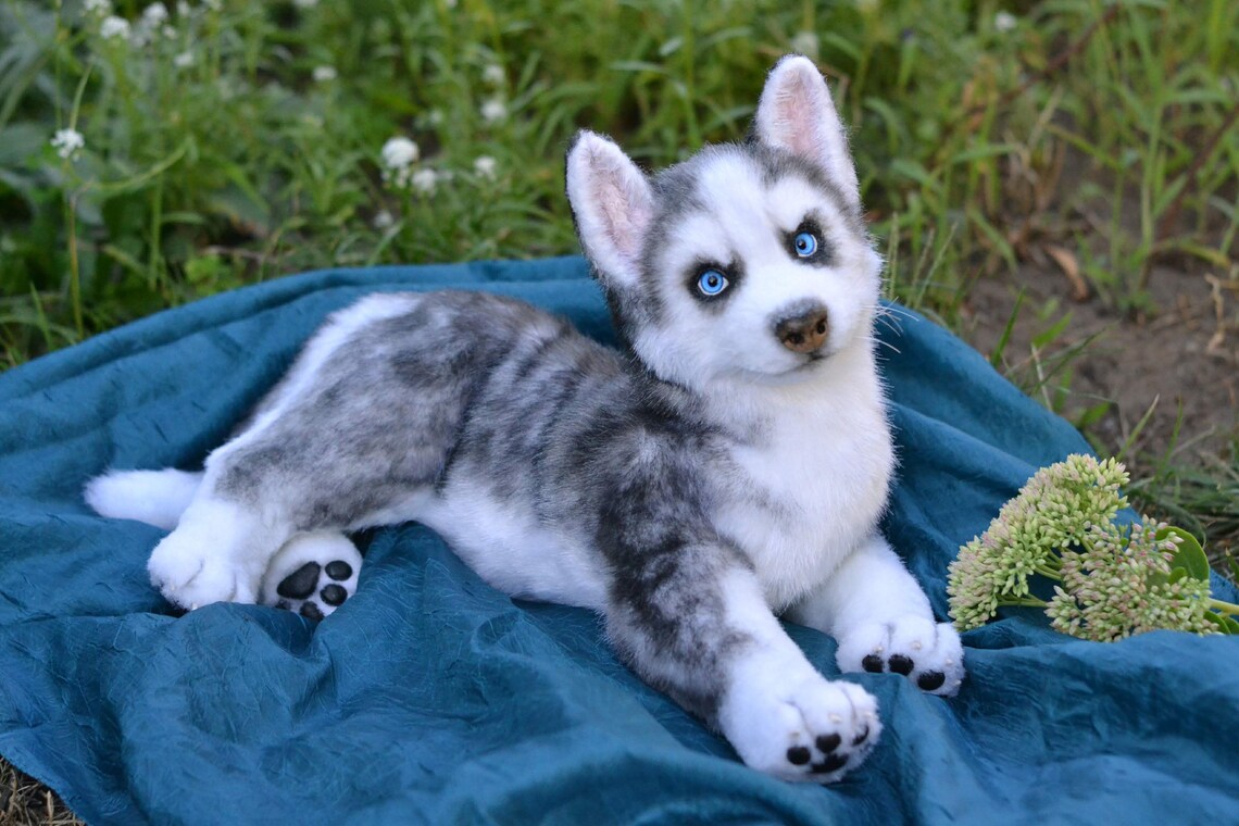 Realistic husky MADE TO ORDER puppy ooak doll Sewing toy Eco | Etsy