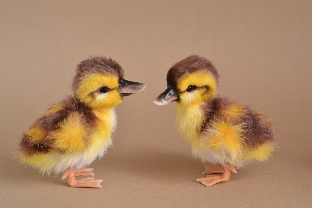 Plush Duckling MADE TO ORDER, Realistic Animals, Plushie Duck, Stuffed ...