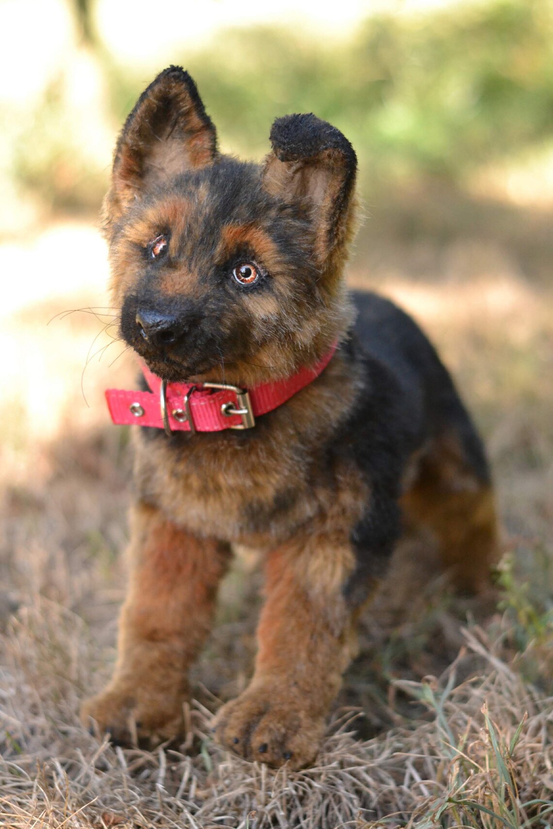 German Shepherd MADE TO ORDER Realistic Puppy Sewn Animal Real - Etsy