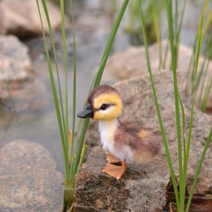 Plush Duckling MADE TO ORDER Realistic Animals Plushie Duck - Etsy