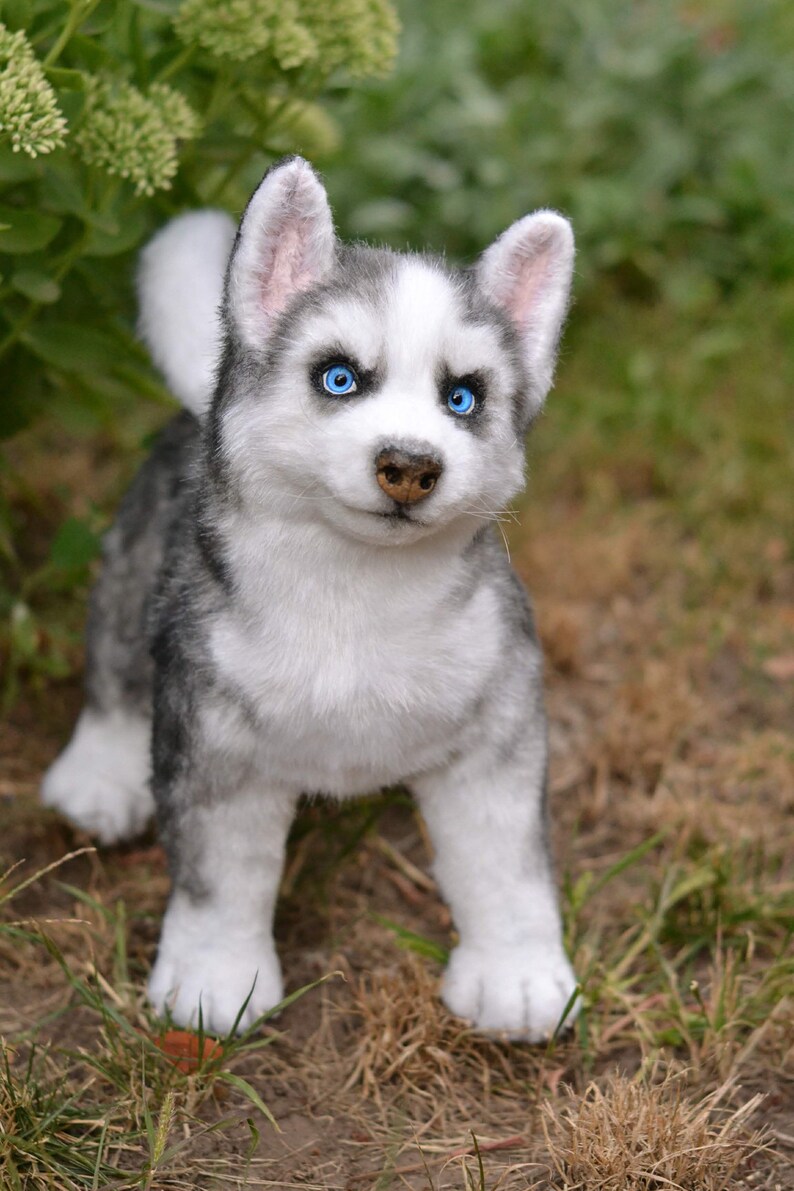 Realistic Husky MADE TO ORDER Puppy Ooak Doll Sewing Toy Eco - Etsy
