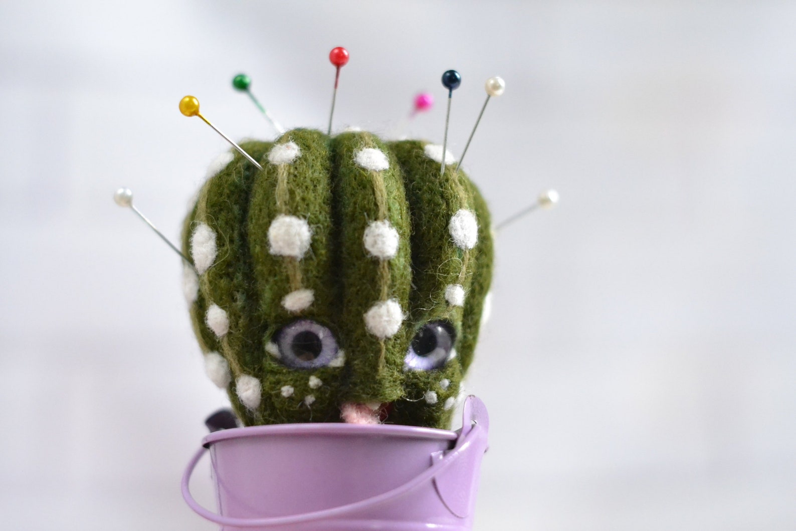 Friendly Cactus Needle Felted Succulent Realistic Plants - Etsy