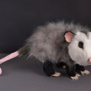 PDF Tutorial and Pattern of Realistic Opossum, Step by Step Sewing ...