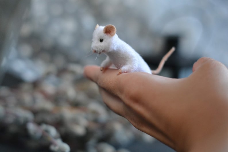 Felted Tiny Mouse Dollhouse Miniature White Mouse Figurine | Etsy