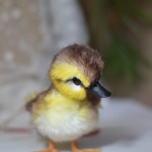 Plush Duckling MADE TO ORDER Realistic Animals Plushie Duck - Etsy