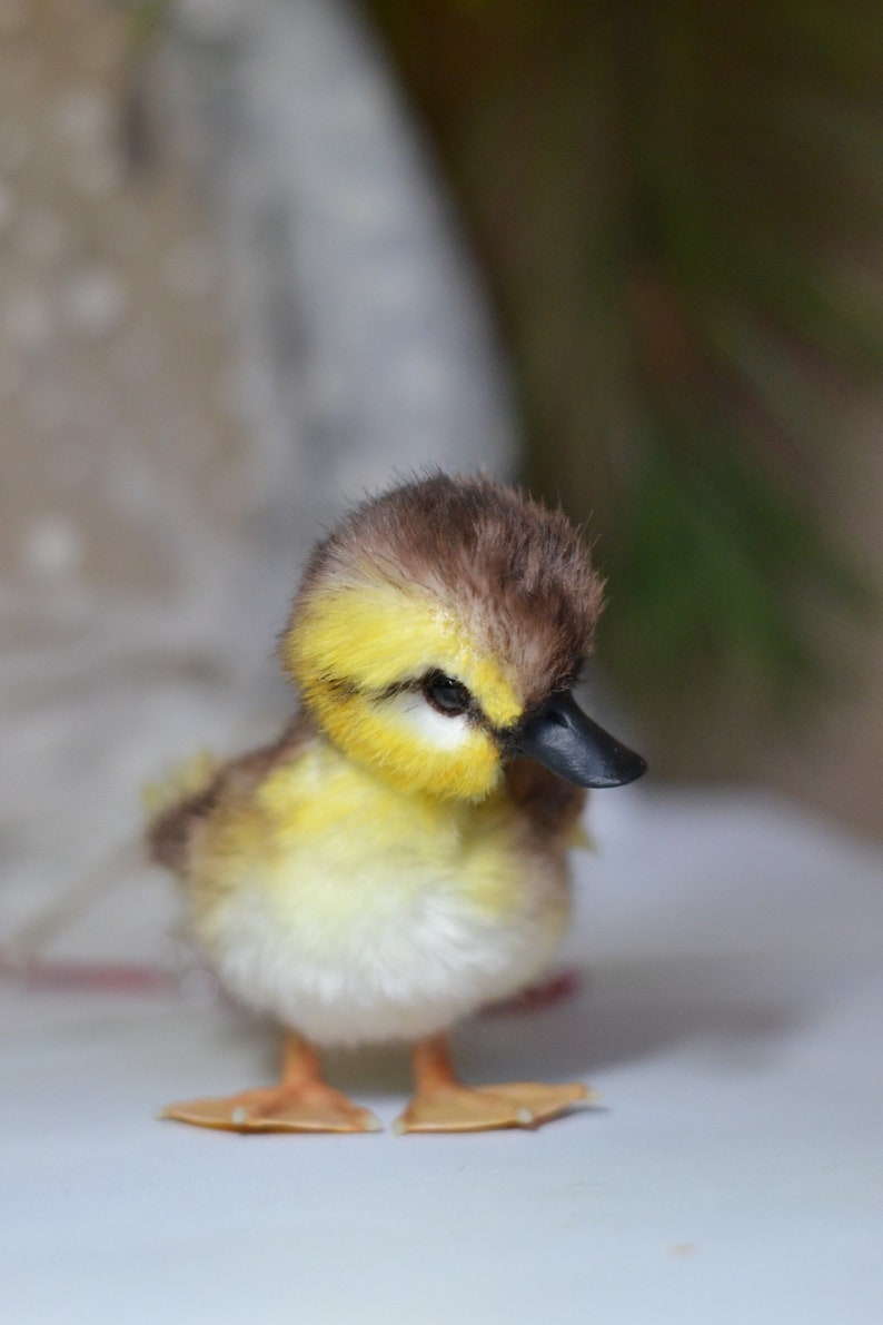 Plush Duckling MADE TO ORDER Realistic Animals Plushie Duck - Etsy Plush Duckling MADE TO ORDER Realistic Animals Plushie Duck - Etsy