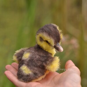 Plush Duckling MADE TO ORDER, Realistic Animals, Plushie Duck, Stuffed ...