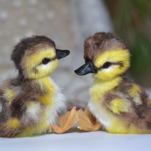 Plush Duckling MADE TO ORDER Realistic Animals Plushie Duck - Etsy