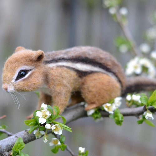 Needle Felted Chipmunk. Life Sized Chipmunk. Needle Felted | Etsy