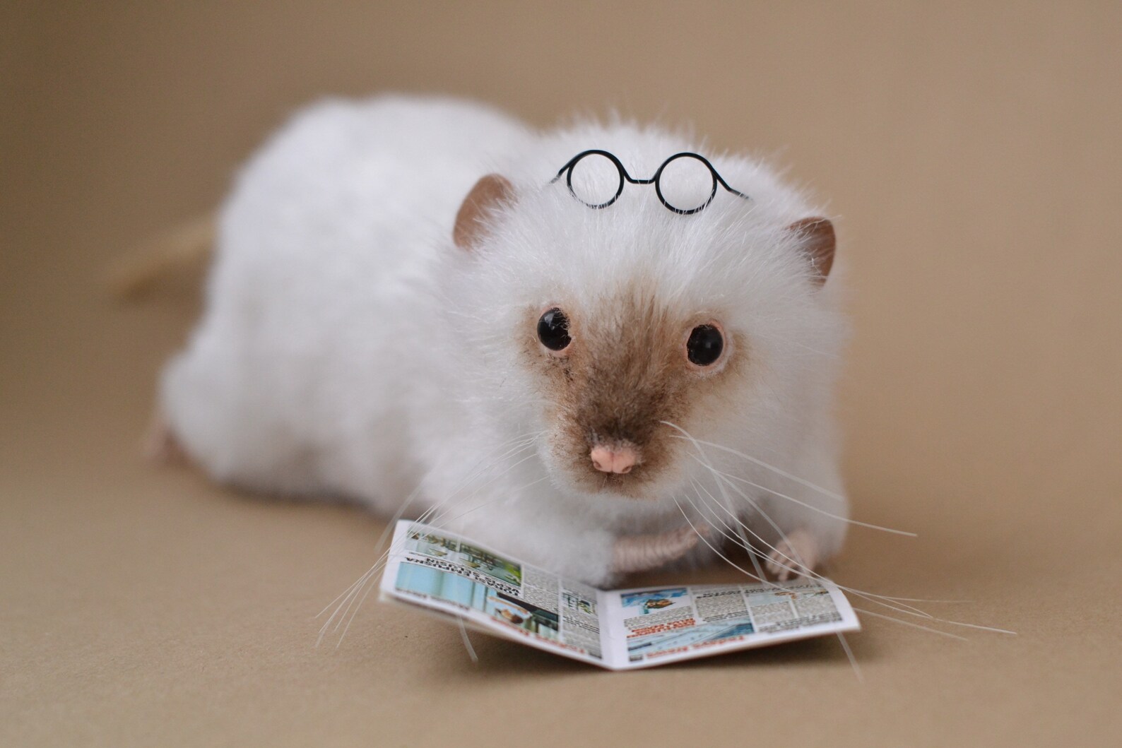 Dumbo Rat in Realistic Style MADE TO ORDER Animal Art Doll - Etsy