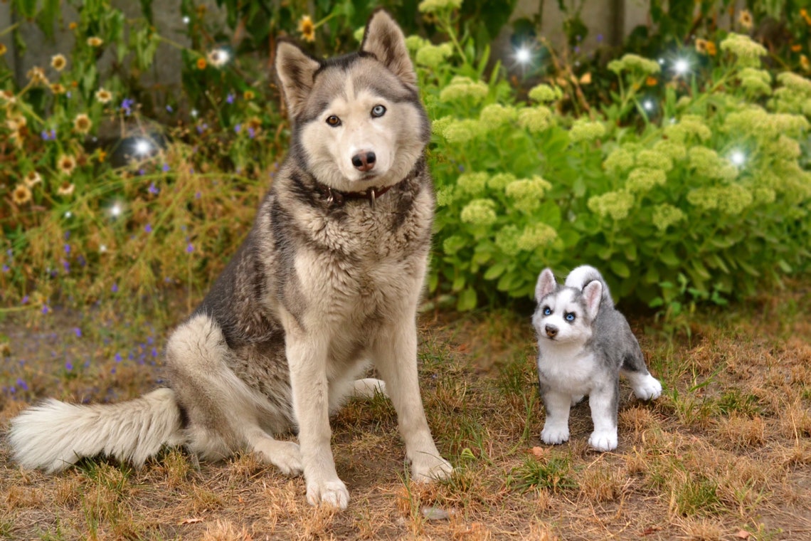 Realistic Husky MADE TO ORDER Puppy Ooak Doll Sewing Toy Eco - Etsy
