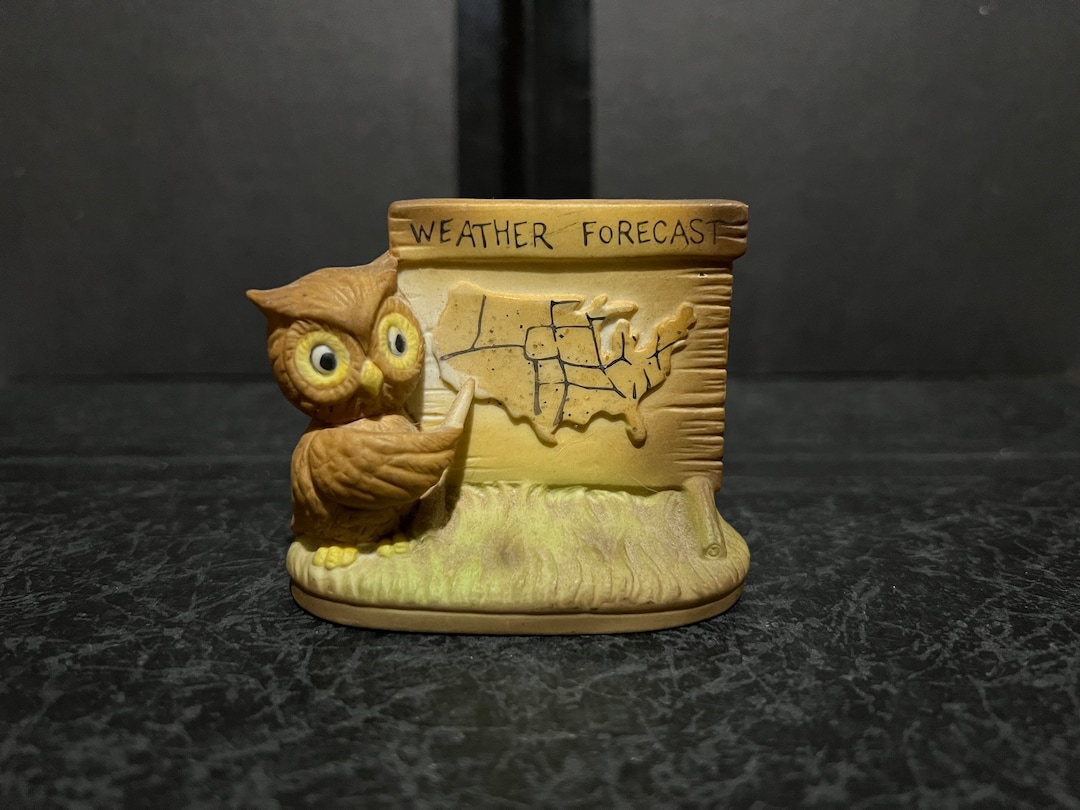Weather Forecast Brown Owl Figurine Enesco (no Box) USA Map ...