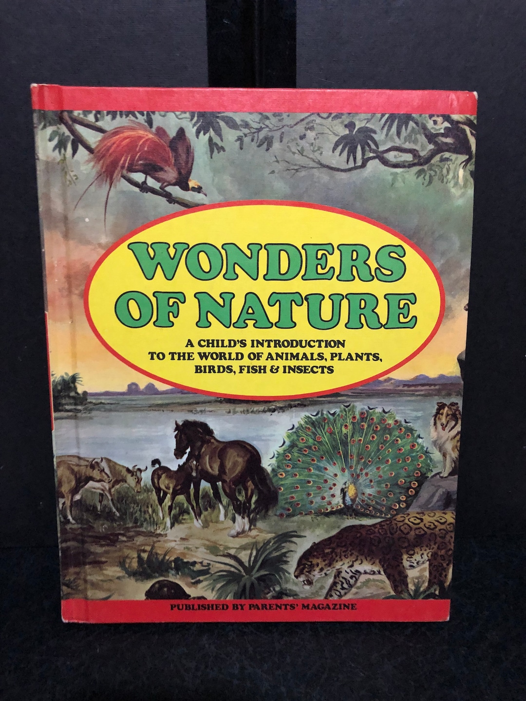 Wonders of Nature Book 1974 - a Child’s Introduction to the World of ...