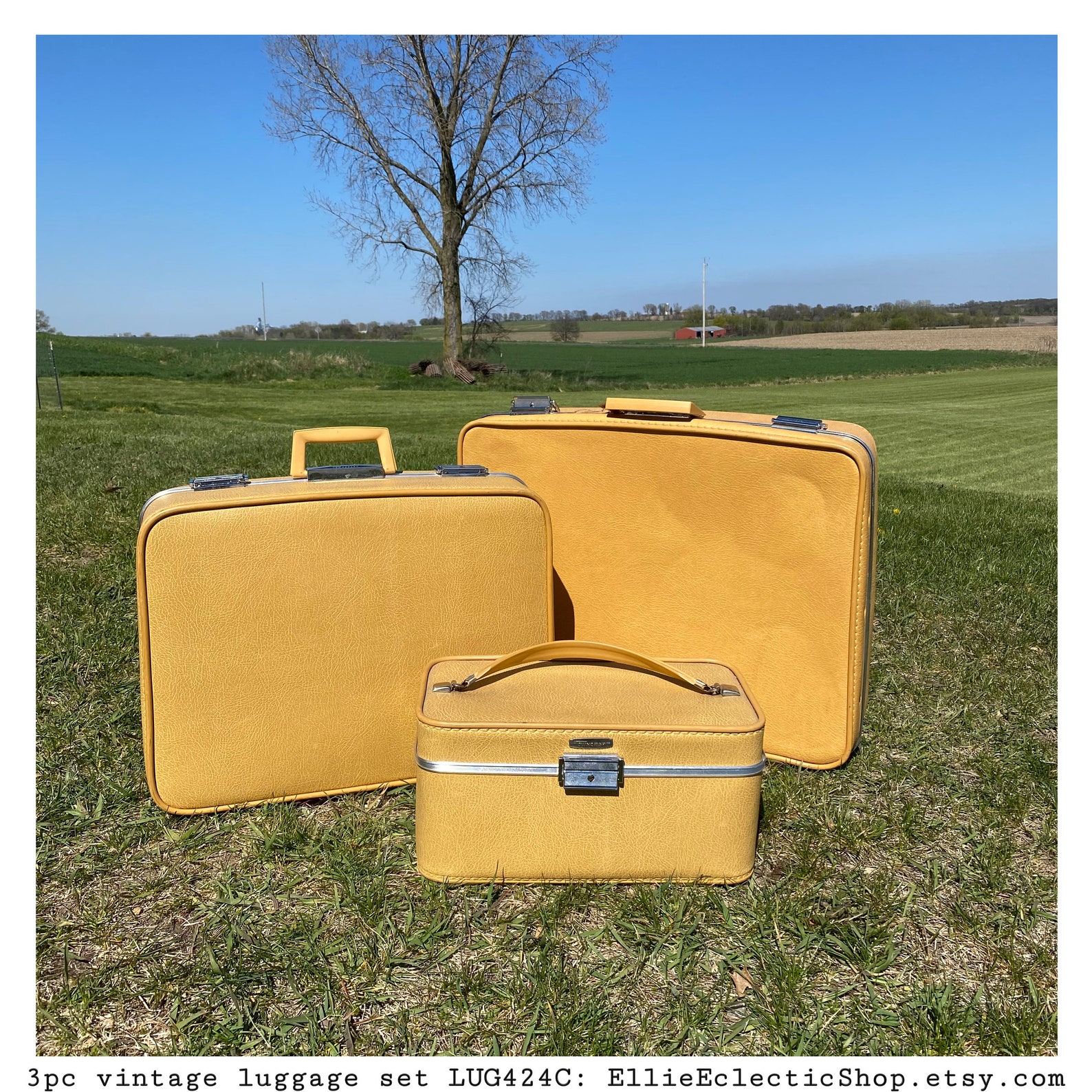 Retro Yellow Towncraft Luggage Set: 3-piece Vintage Travel - Etsy