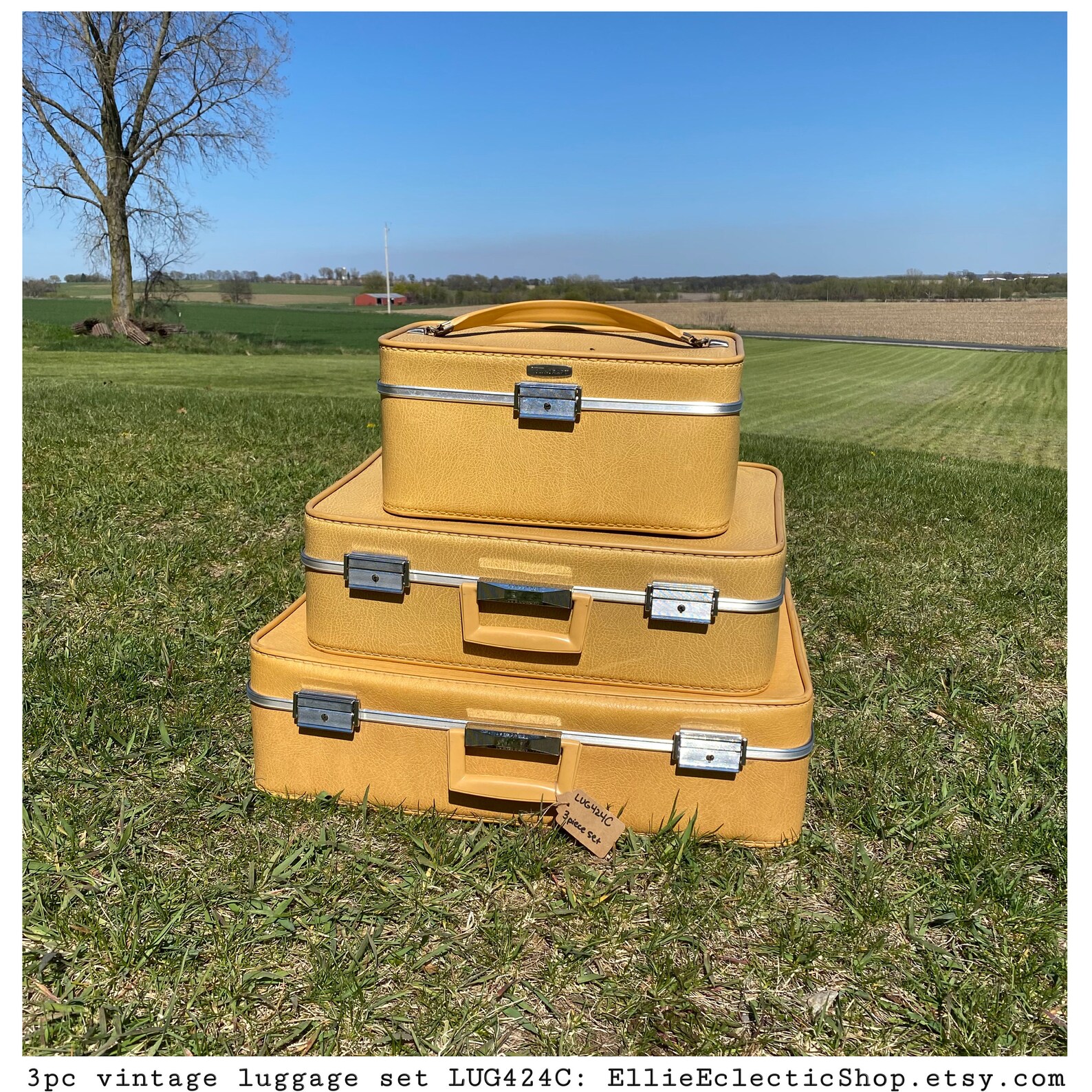 Retro Yellow Towncraft Luggage Set: 3-piece Vintage Travel - Etsy