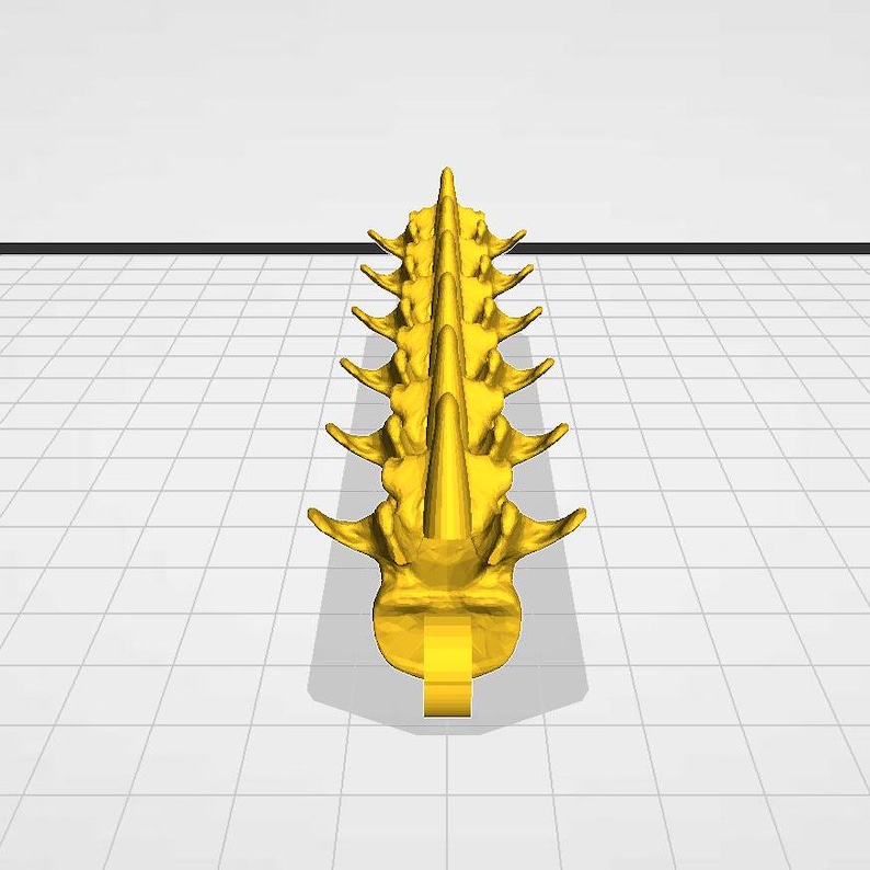 Fidget Toy Spine 3D Printing STL File - Human Anatomy Vertebrae ...