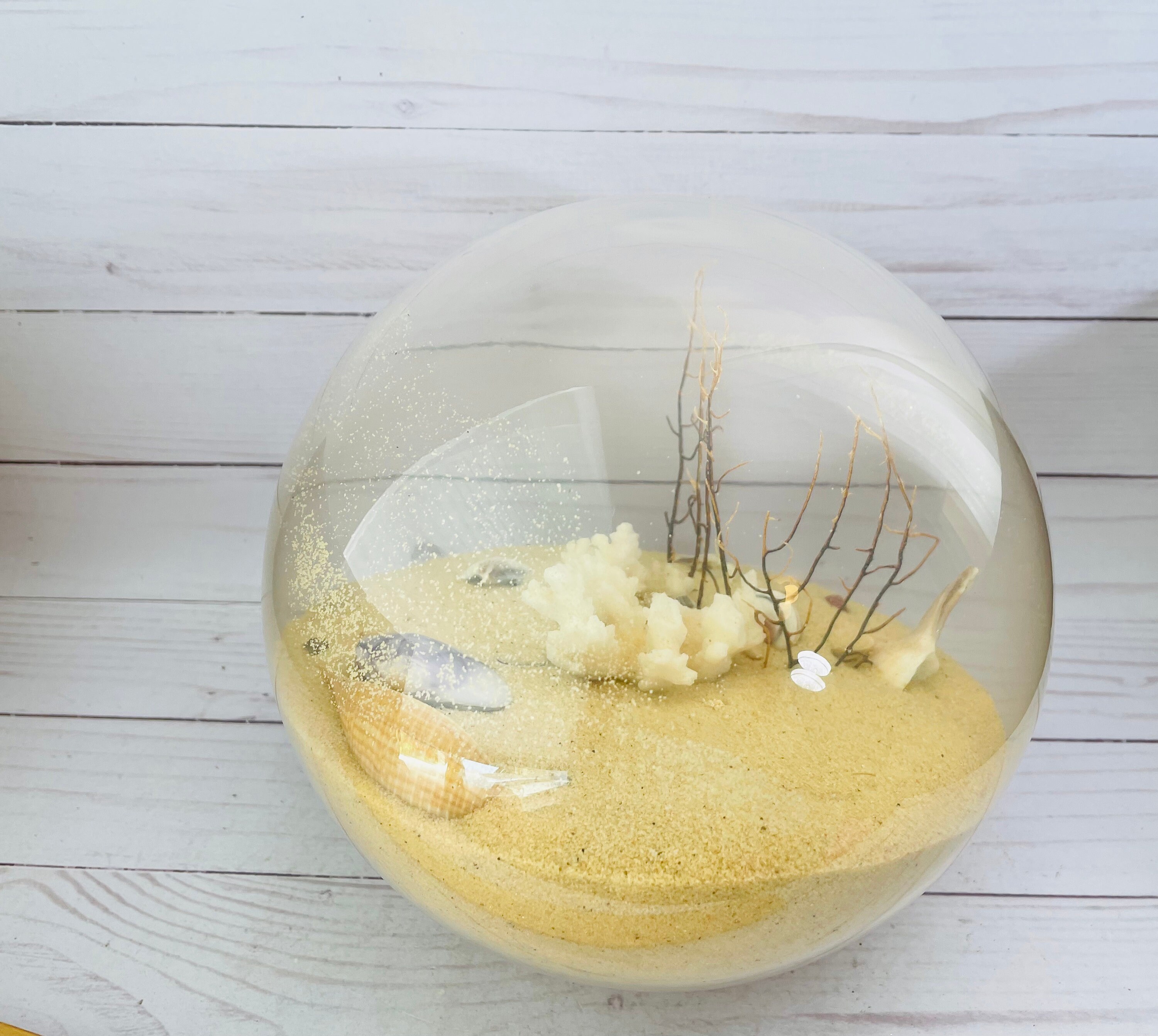 Sand and Seashells Glass Orbsand Globe - Etsy