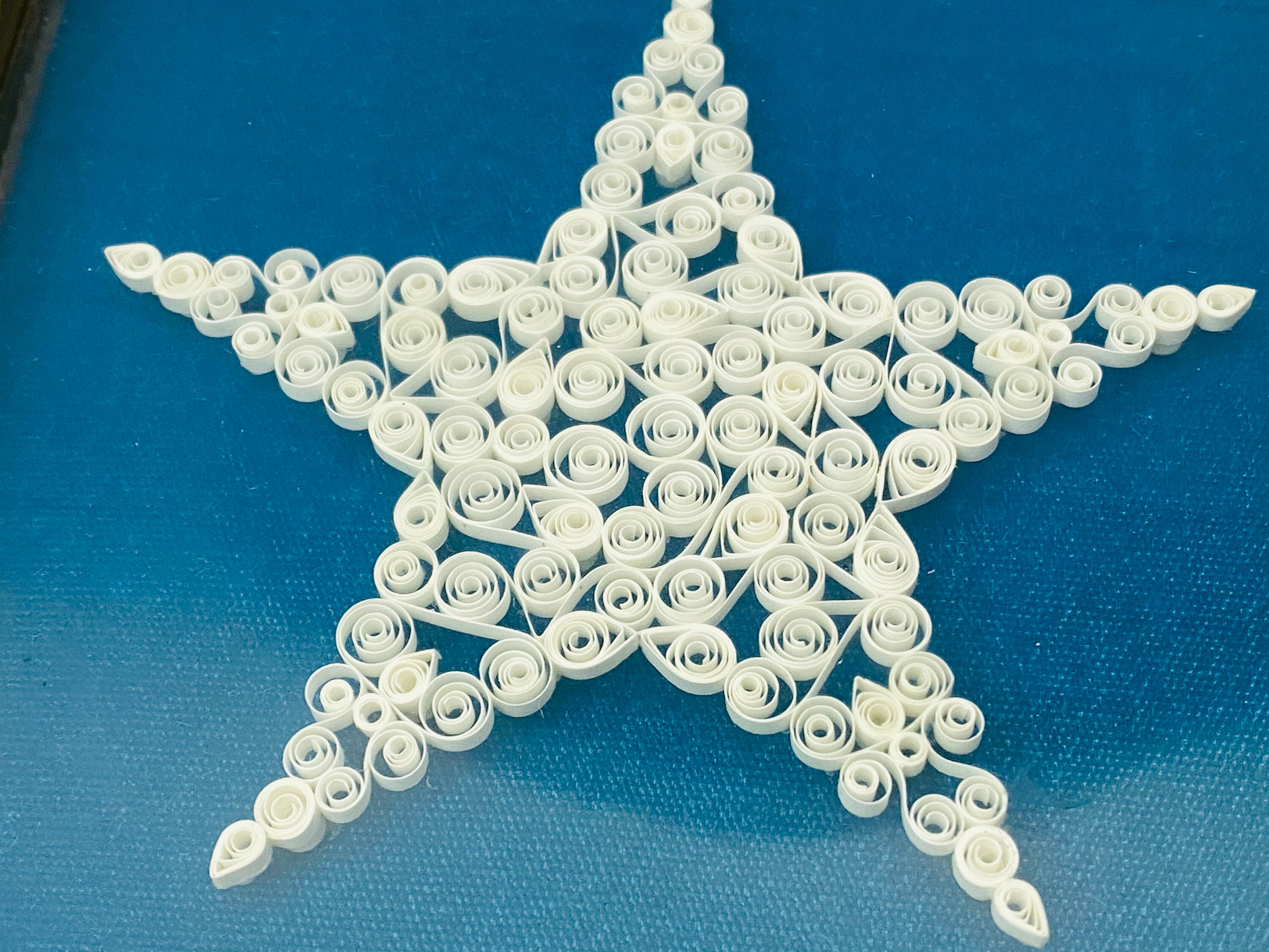 Framed Star Quilling Paper Quilling - Etsy