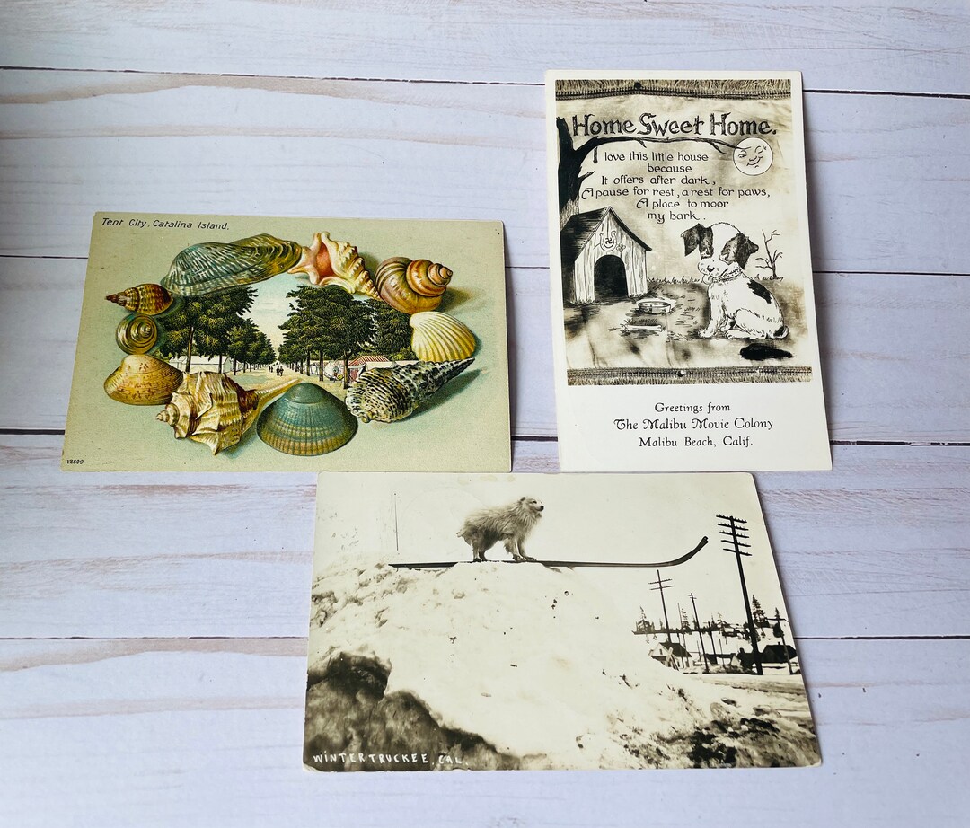 Vintage California Postcards - Etsy