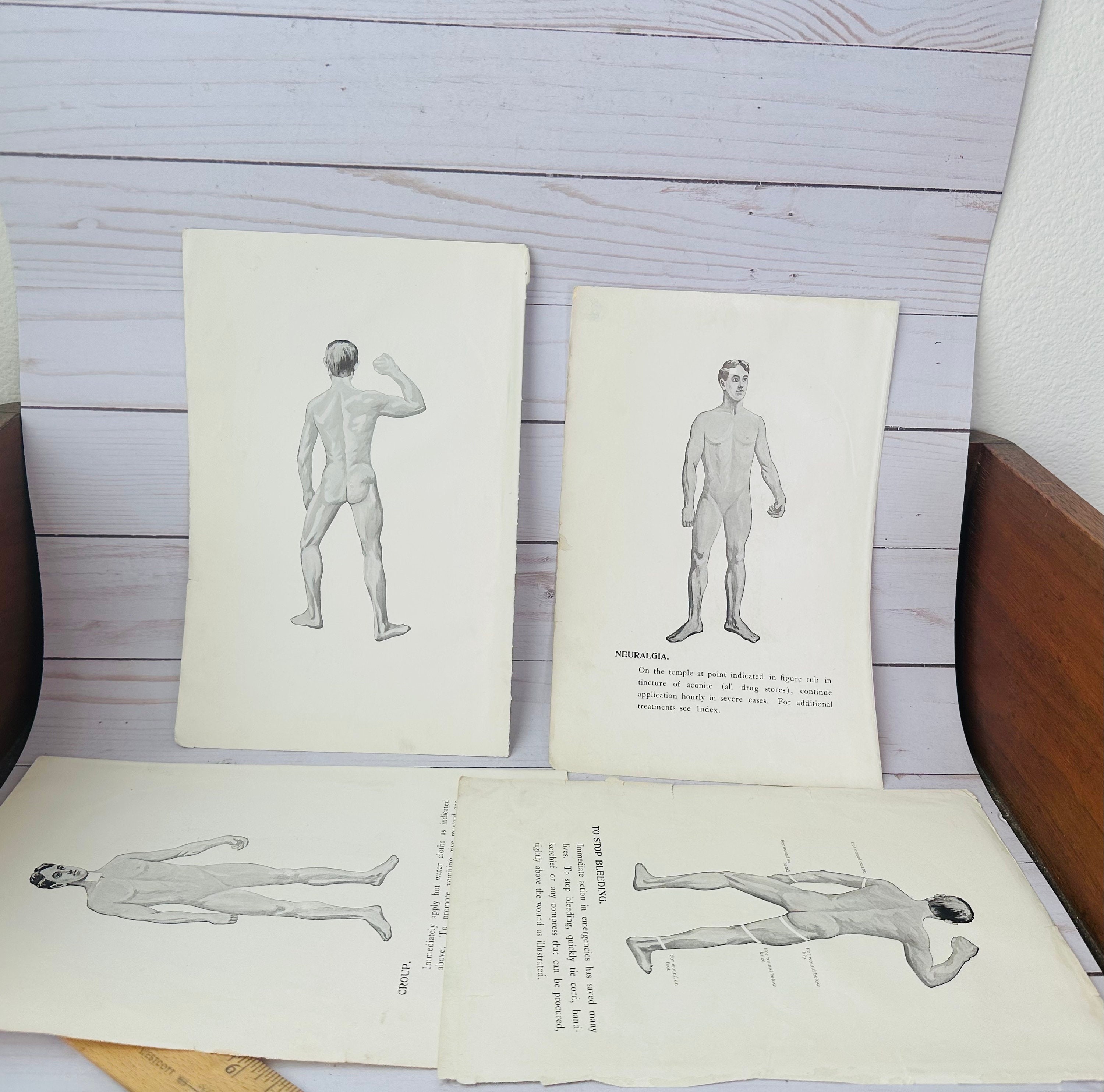 Vintage Medical Diagrams