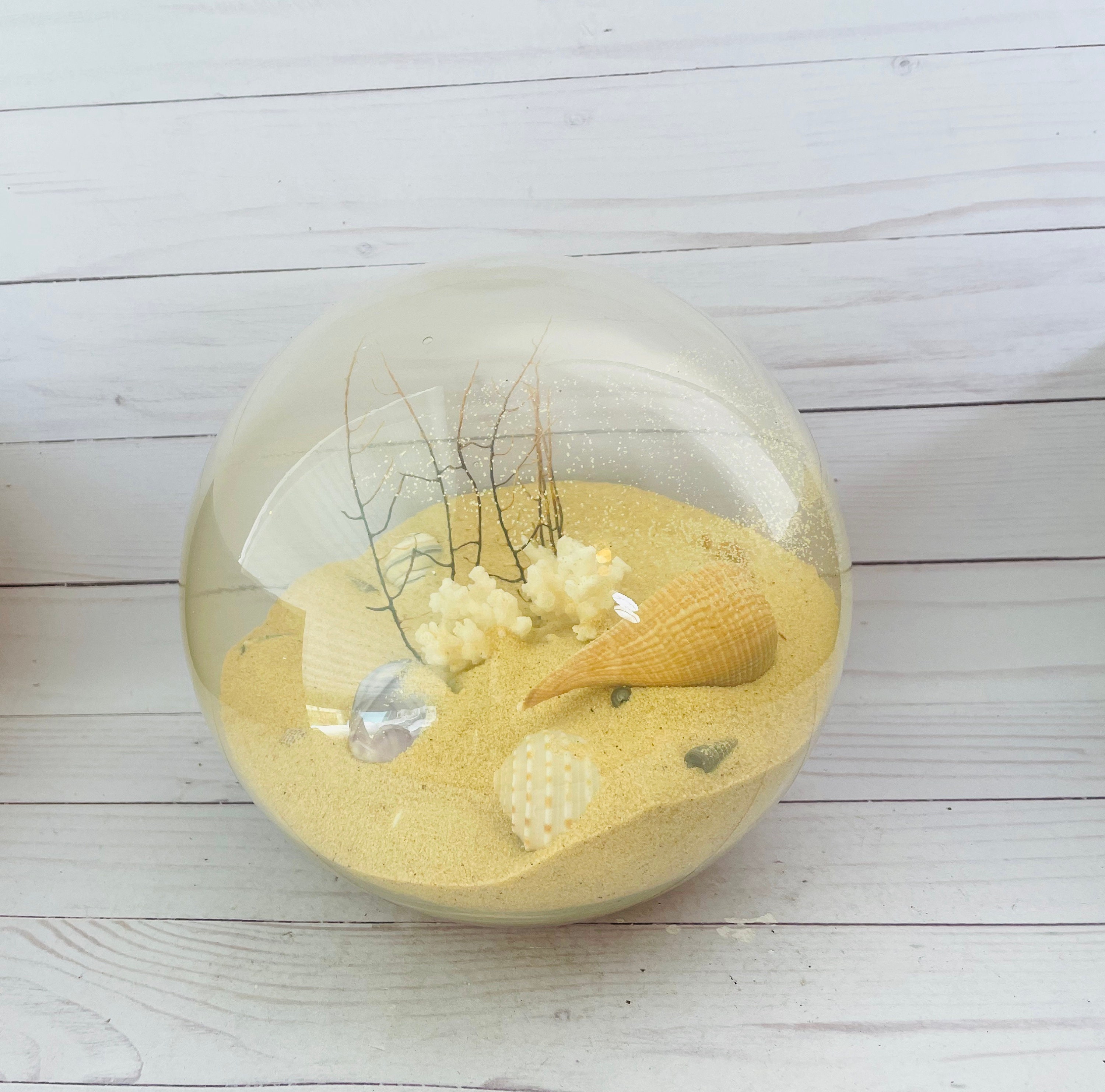 Sand and Seashells Glass Orbsand Globe - Etsy