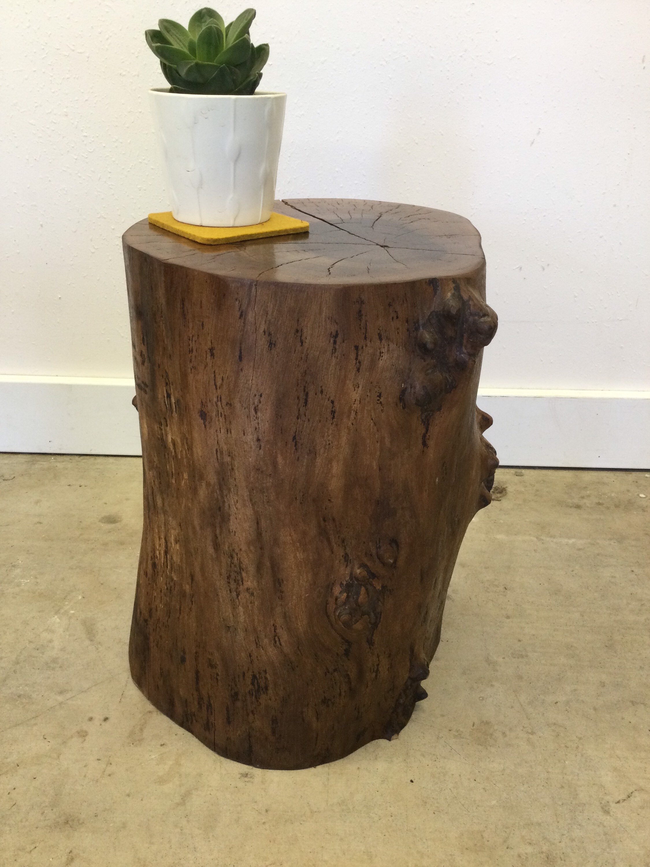 Walnut Stump Reclaimed From Our Orchard - Etsy