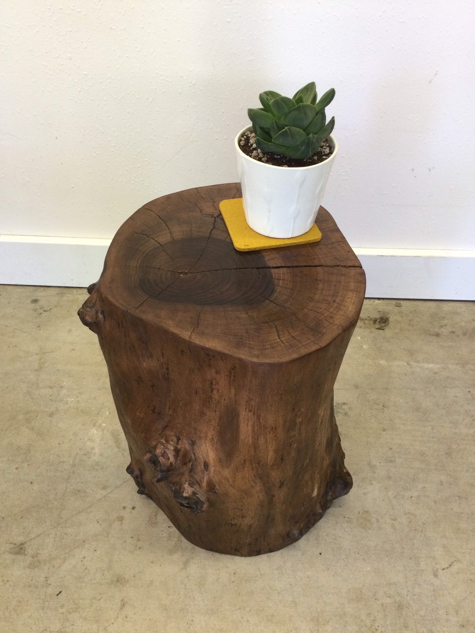 Walnut Stump Reclaimed From Our Orchard - Etsy