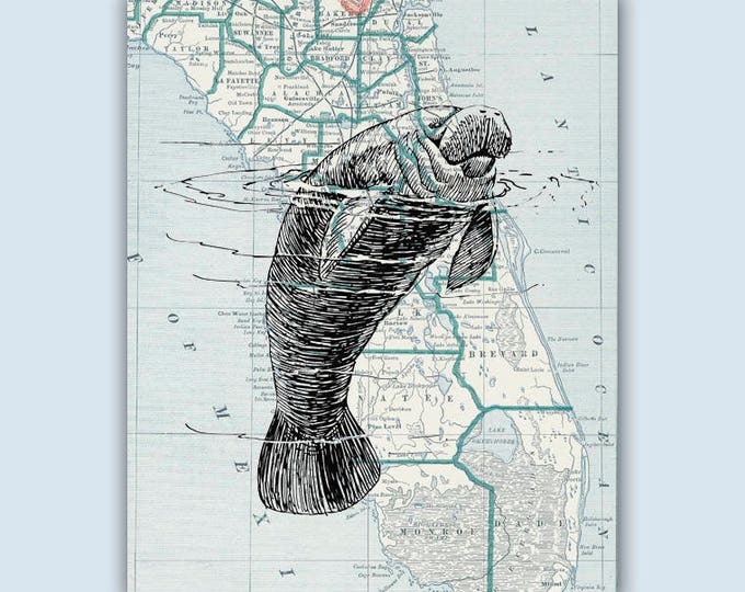 Manatee Poster, Nautical Poster, Manatee Art, Florida Map Art, Marine ...