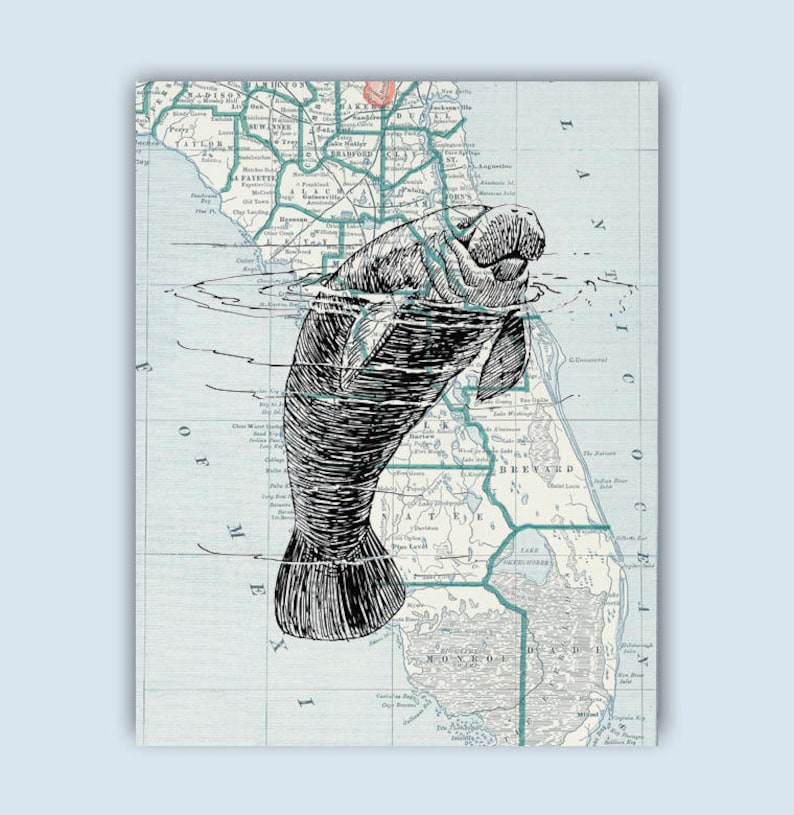 Manatee Poster, Nautical Poster, Manatee Art, Florida Map Art, Marine ...