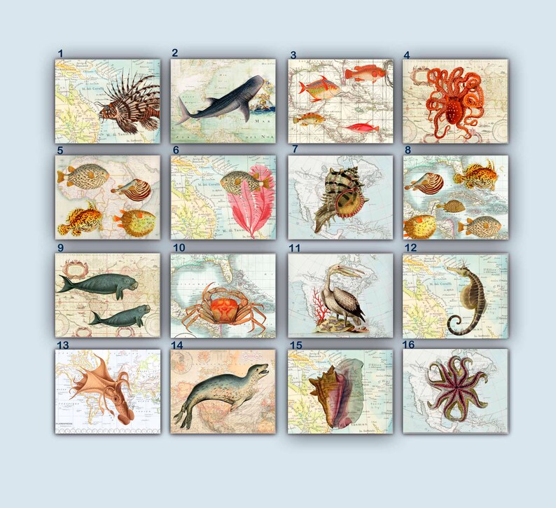 Sea Life Map Art Nautical Poster Educational Poster Nursery - Etsy
