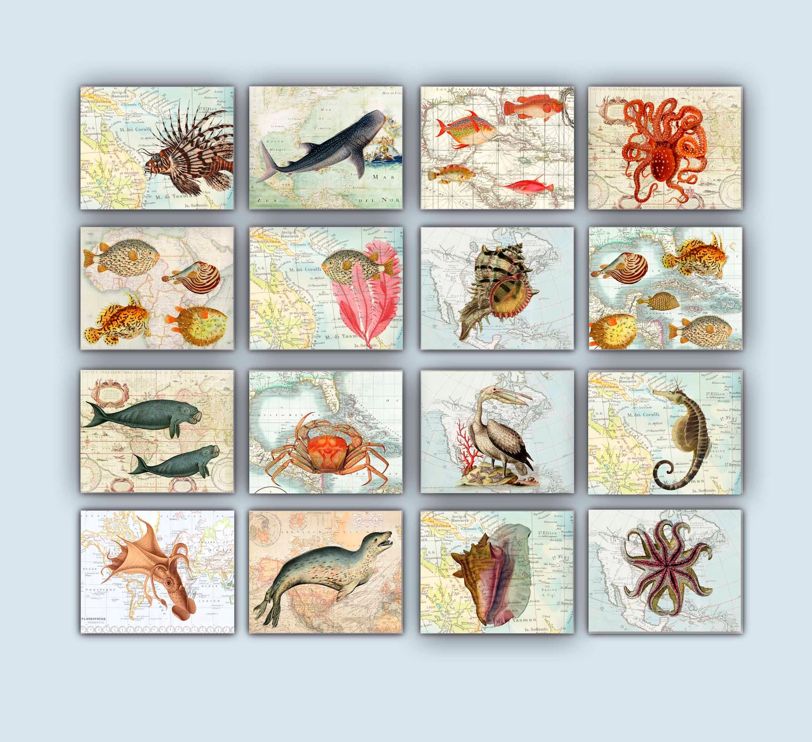 Sea Life Map Art, Nautical Poster, Educational Poster, Nursery Art ...