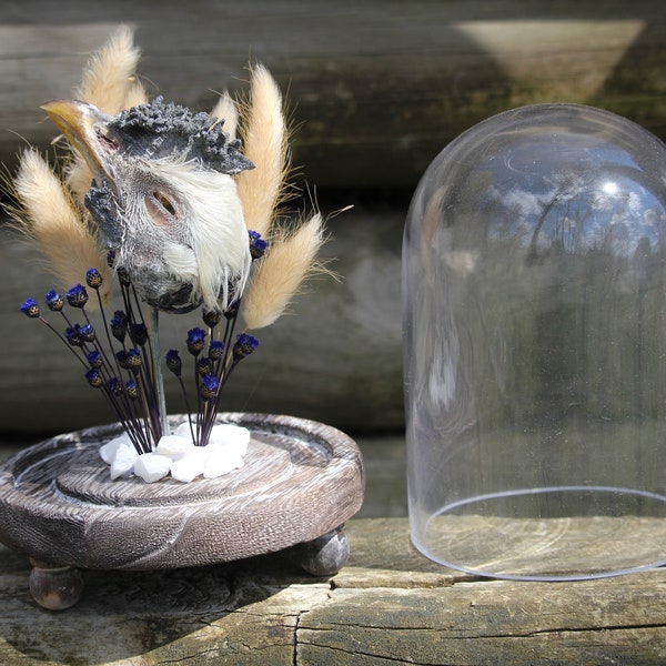 Bell Jar Taxidermy - Etsy