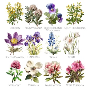 CUSTOM State Flower Bouquet | Mother's Day Gift | Personalized Floral ...