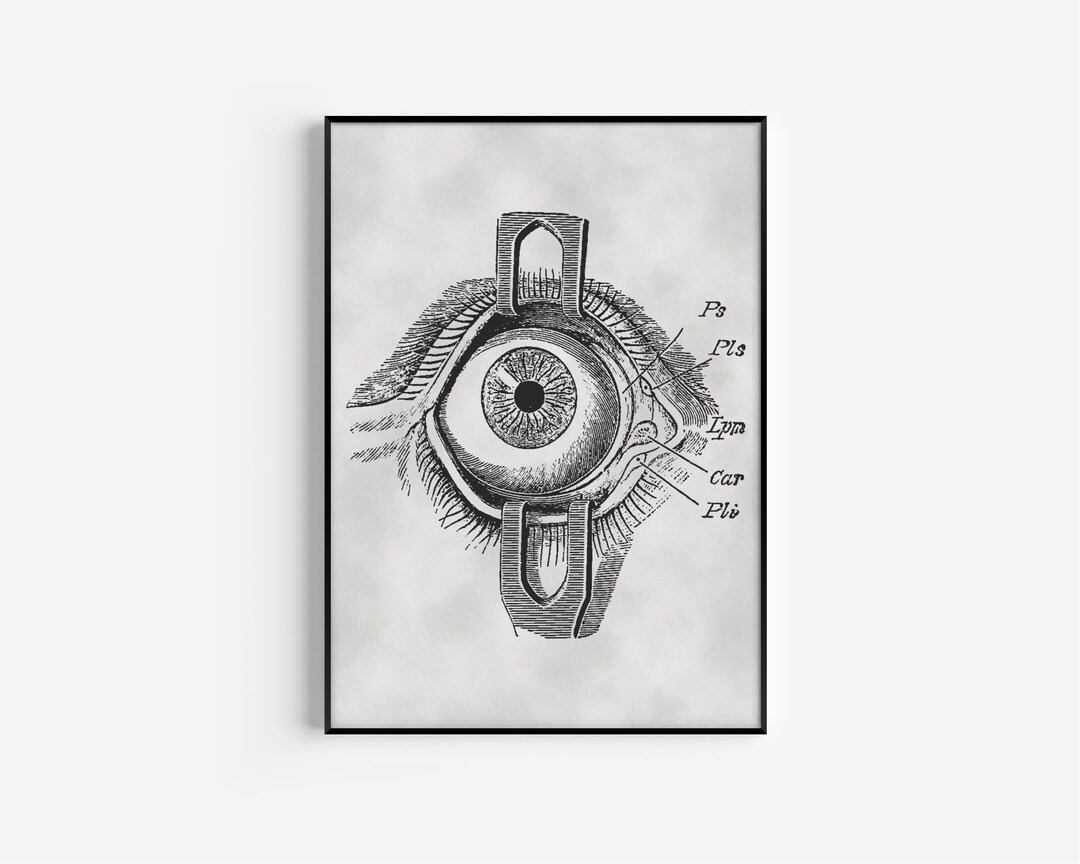 Vintage Eyeball Art Print Goth Aesthetic Halloween Decor - Etsy
