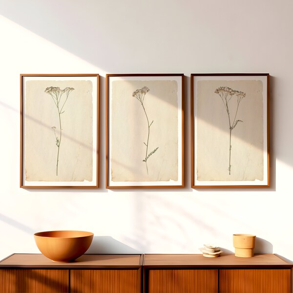 Dried Flower Print - Etsy UK