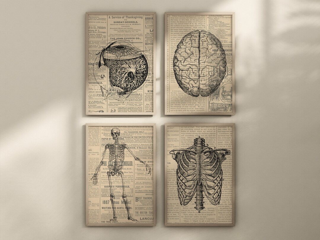 Set of 4 Vintage Human Body Parts on Antique Newspaper | Dark Academia ...