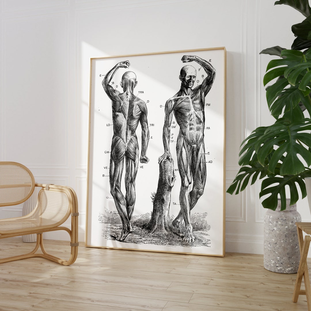Human Anatomy Print Dark Academia Black and White Art Human Body Print ...