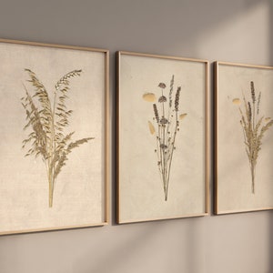 Set of 3 Dried Wheat Prints | Botanical Farmhouse Wall Art | Wheat ...