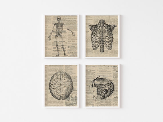 Set of 4 Vintage Human Body Parts on Antique Newspaper - Etsy