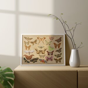Vintage Moth Collage Print Dark Academia Decor Entomology Poster ...