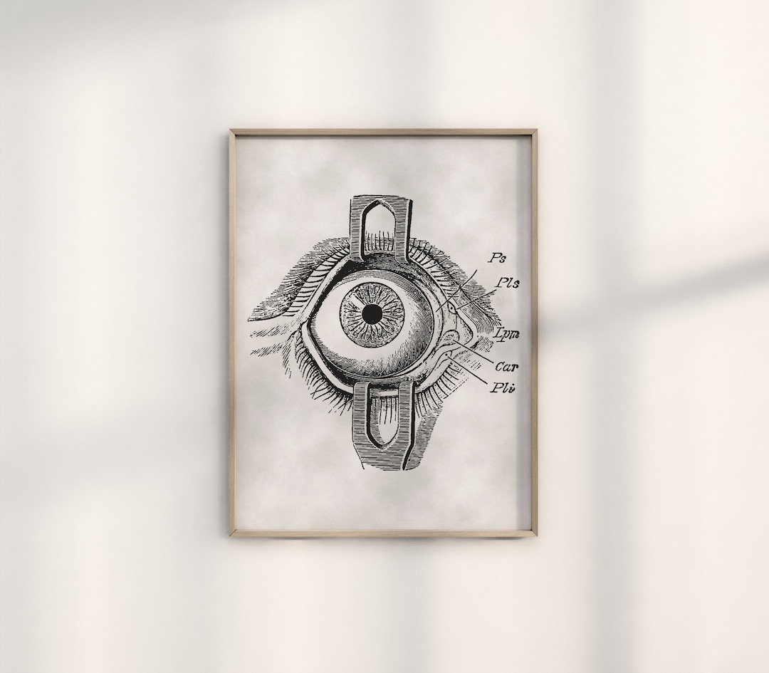 Vintage Eyeball Art Print Goth Aesthetic Halloween Decor Spooky Creepy ...