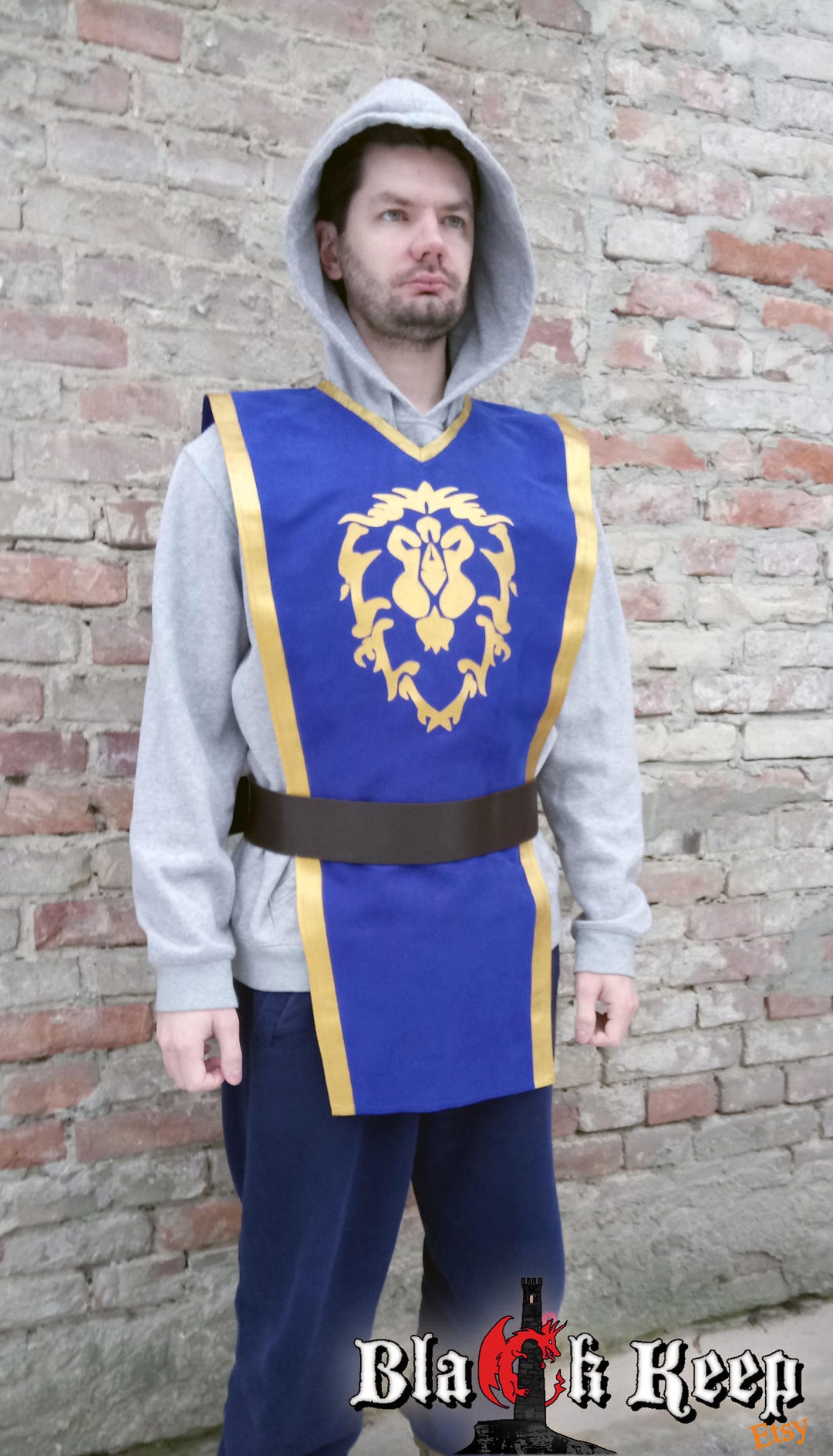 Alliance / Scarlet Crusade Tabard (cosplay) - Etsy