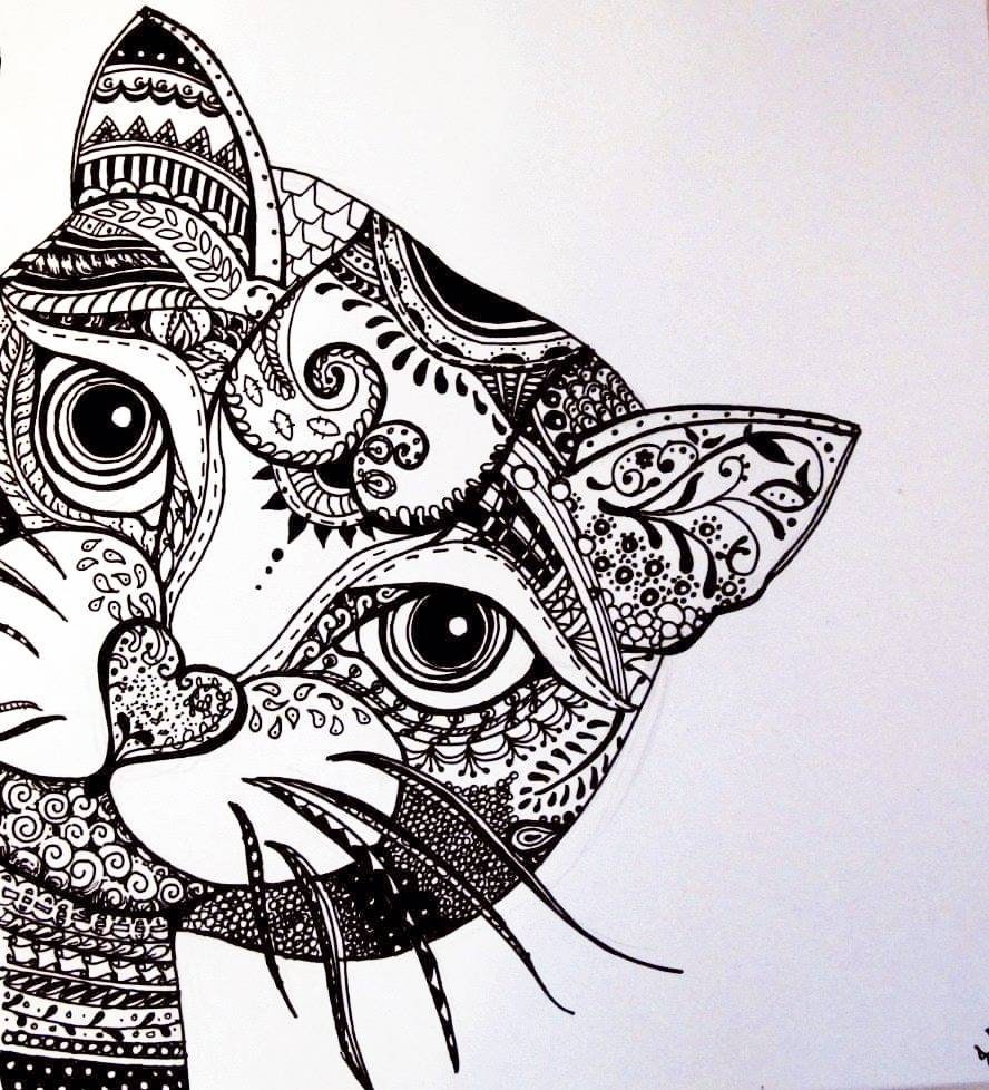 Cat Line Drawing Illustration Black and White Original Artwork or Print ...