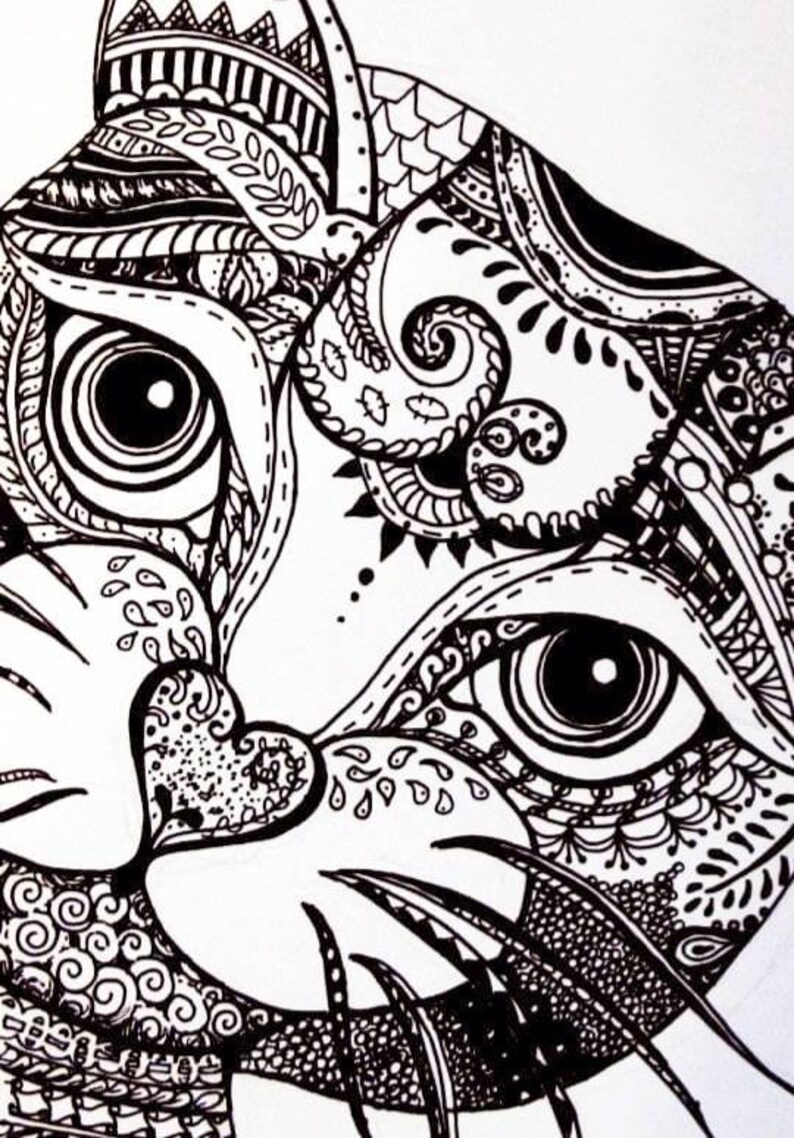 Cat Line Drawing Illustration Black and White Original Artwork - Etsy UK