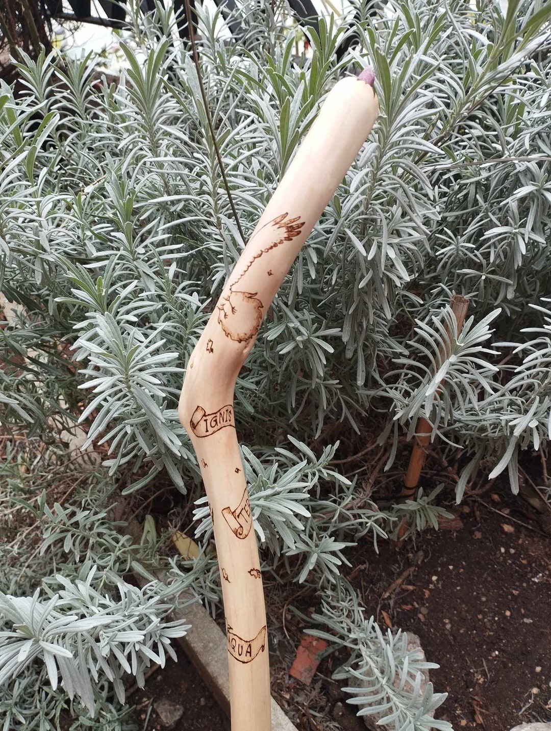 Greek Olive Short Staff With Phoenix, Pentacle and Elements Design ...