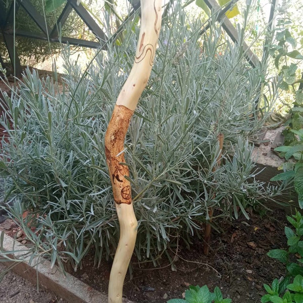 Staff Carving - Etsy