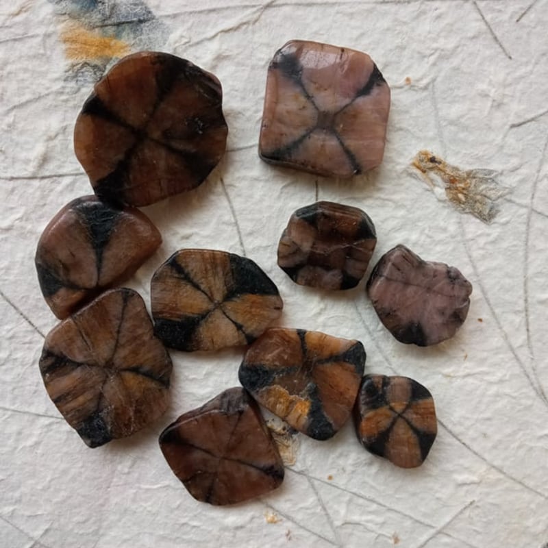 Chiastolite - Etsy