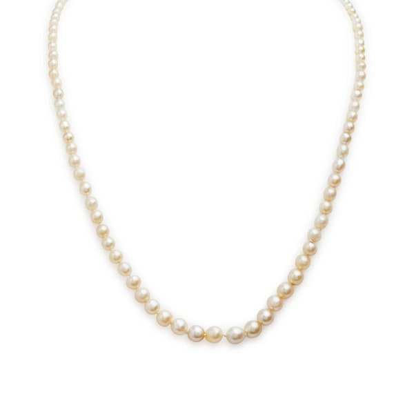 Graduated Pearls - Etsy